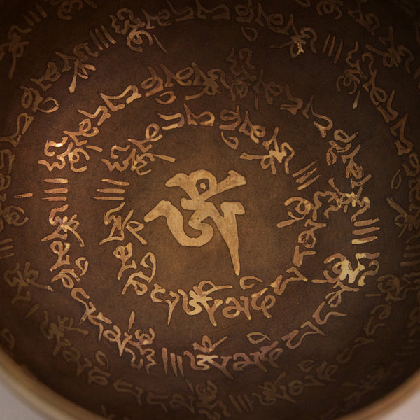 Whirlwind of Compassion Singing Bowl – Sacred Treasures